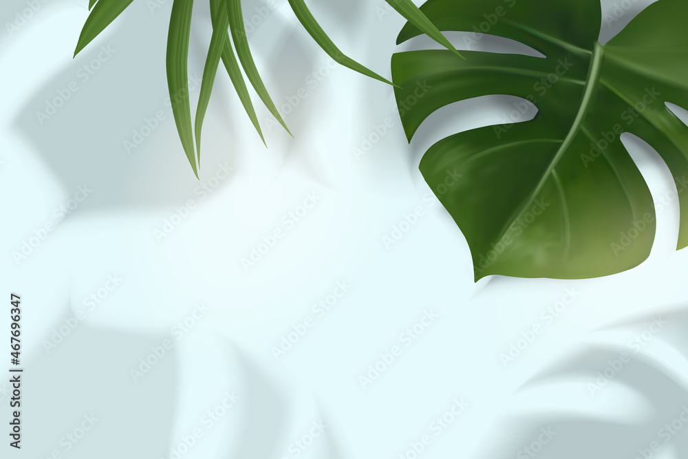 Tropical background for your advertising. leaves or flowers.Monstera ...