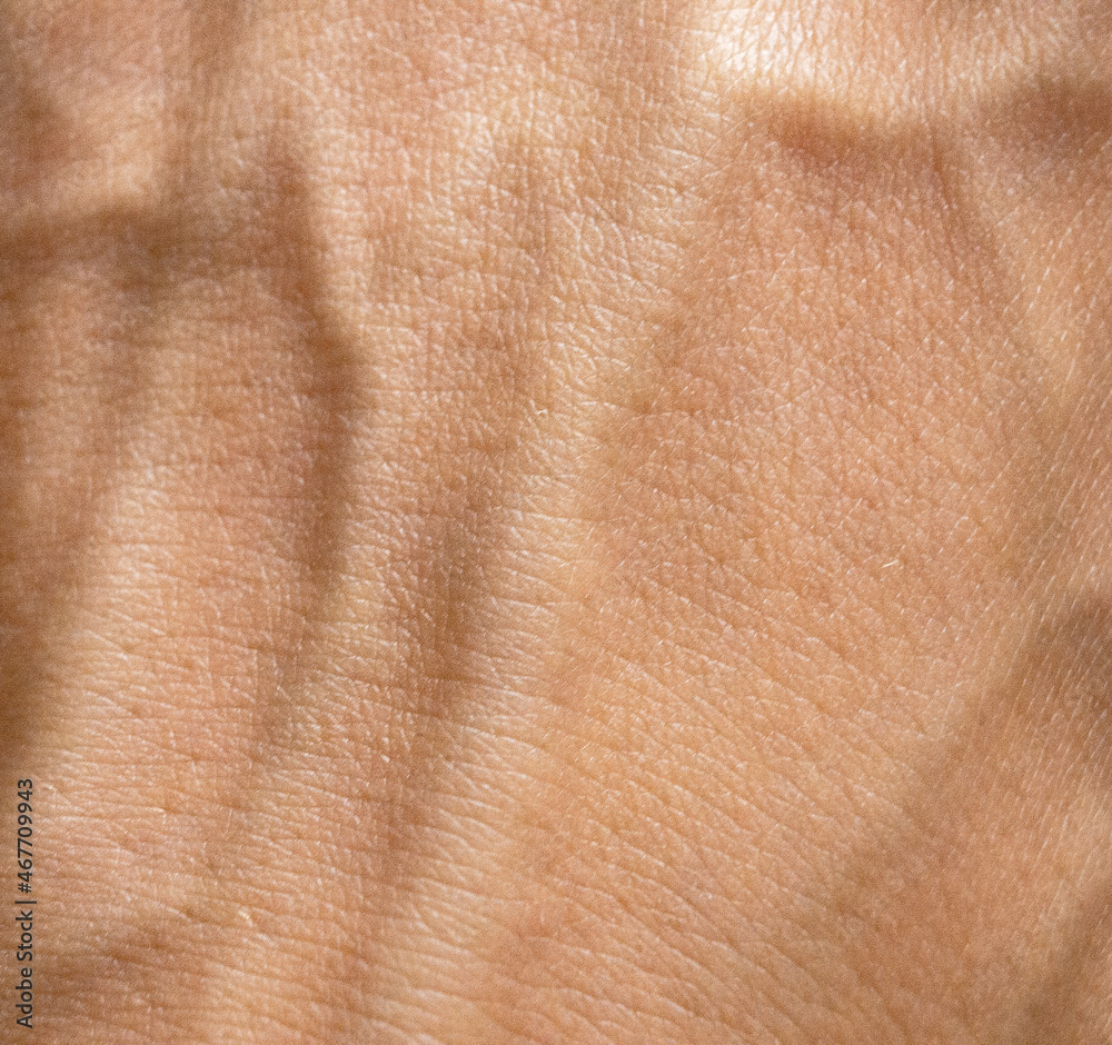 Skin texture ,veins Stock Photo | Adobe Stock