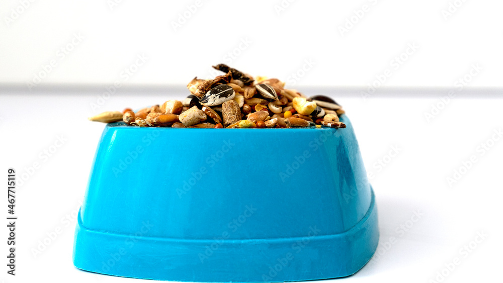 Dry rodent food mix for mouse, rabbit or degu in wooden bowl isolated ...