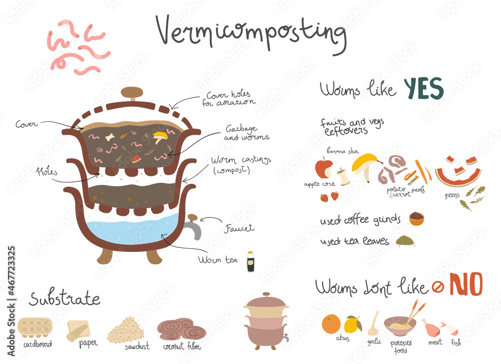 Big set of vermicomposting worm waste management illustrations with ...