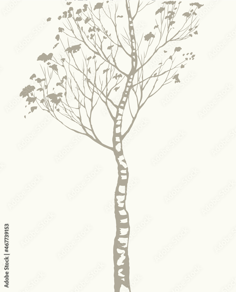 Birch. Vector drawing black pattern Stock Vector | Adobe Stock