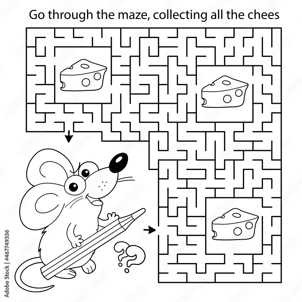 White Mouse Maze