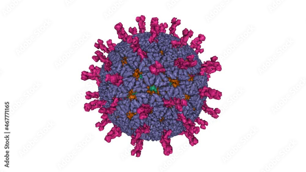 Atomic model of an infectious rotavirus particle. Animated 3D Gaussian ...