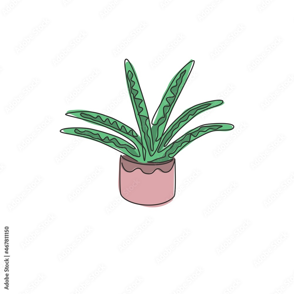 Single continuous line drawing of potted snake plant for home decor ...
