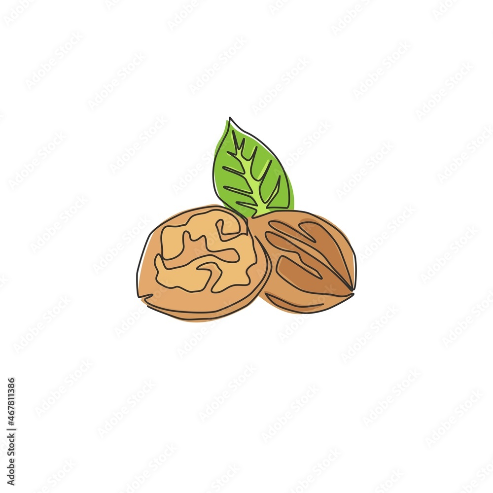 Single continuous line drawing whole healthy organic walnut and leaves ...
