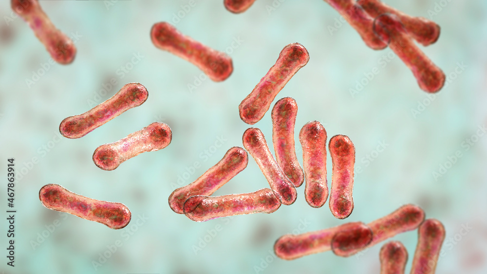 Corynebacterium bacteria, Gram-positive rod-shaped bacterium that ...