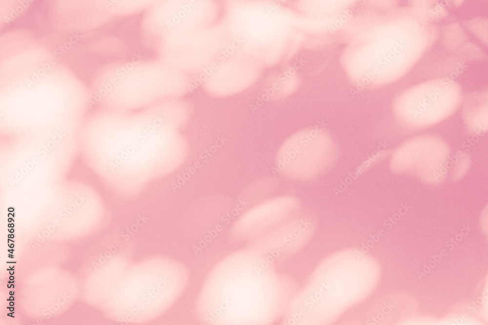 shadow and light bokeh pink background of leaf shadow tree branch on ...