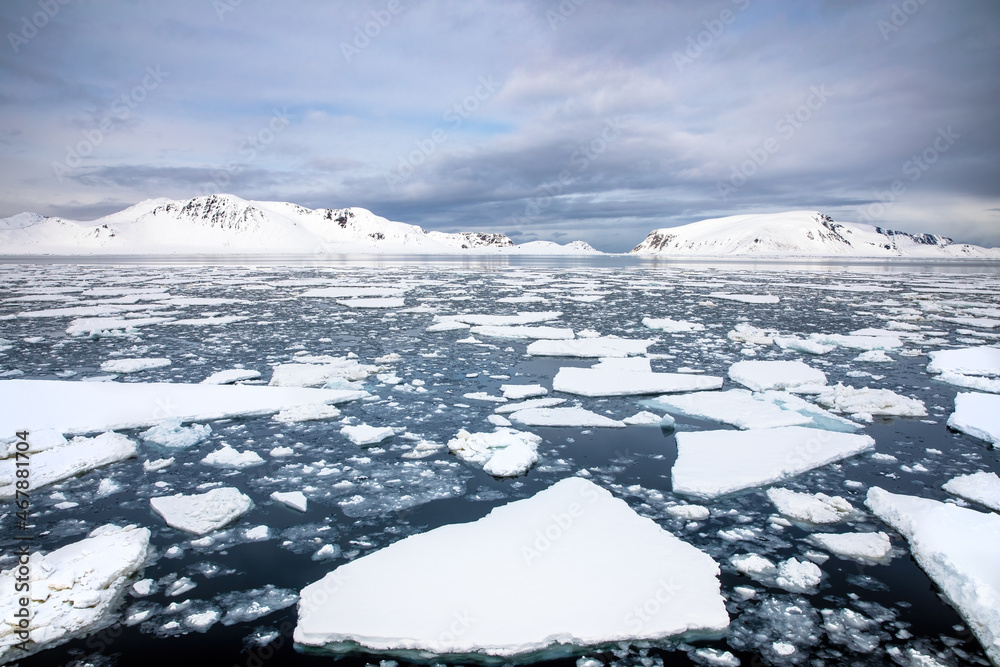 Floating ice in the Arctic sea, with the snow covered mountains of ...