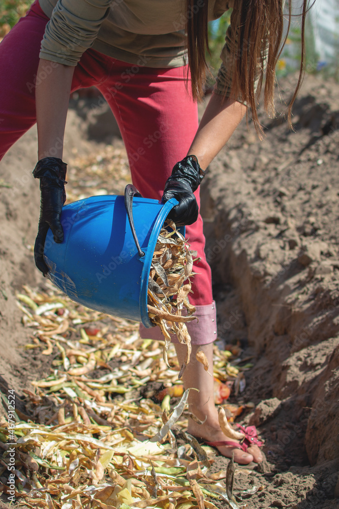 Young woman pouring organic waste into a compost pit from a plastic ...