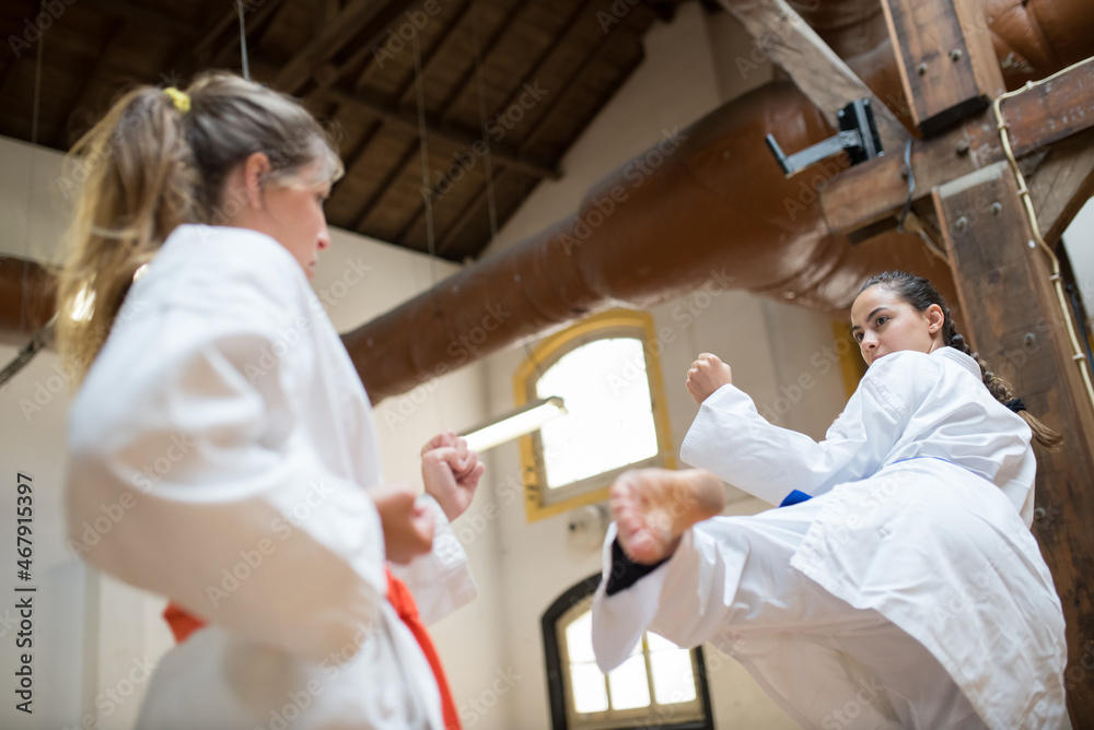Motivated young women at karate training session. Attractive women in ...