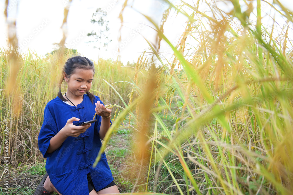 Girl farmers use their mobile internet master data network to check ...