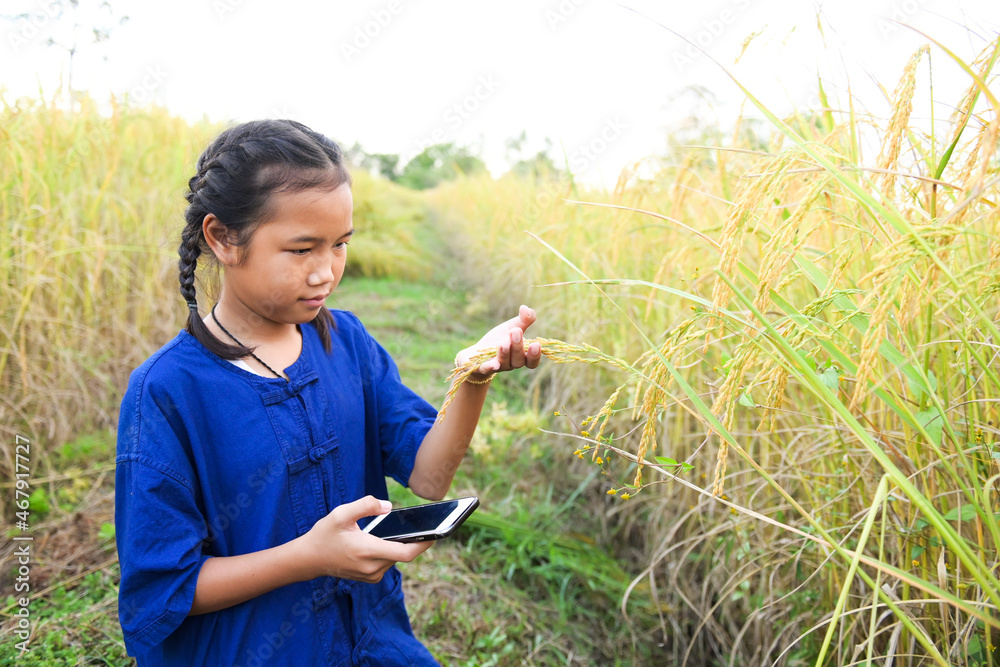 Girl farmers use their mobile internet master data network to check ...