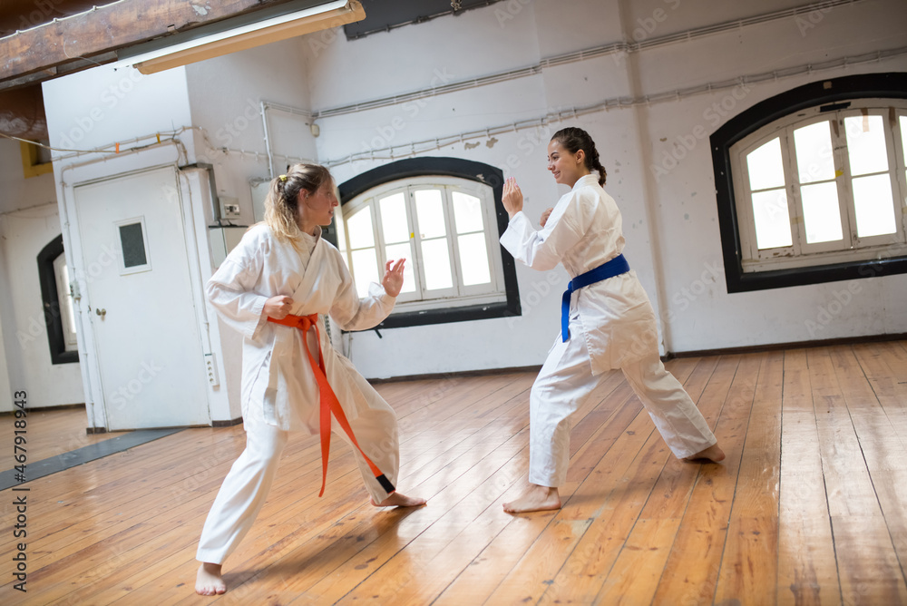 Focused young women at karate training session. Attractive women in ...