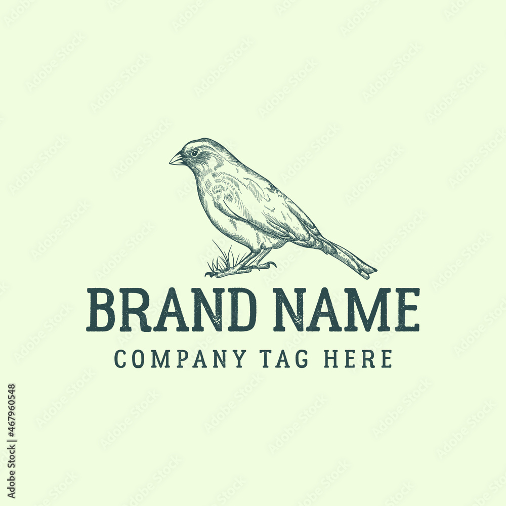 Vintage Bird Logo. Hand Drawn Logo Vector .Digital Art .Cross hatching ...
