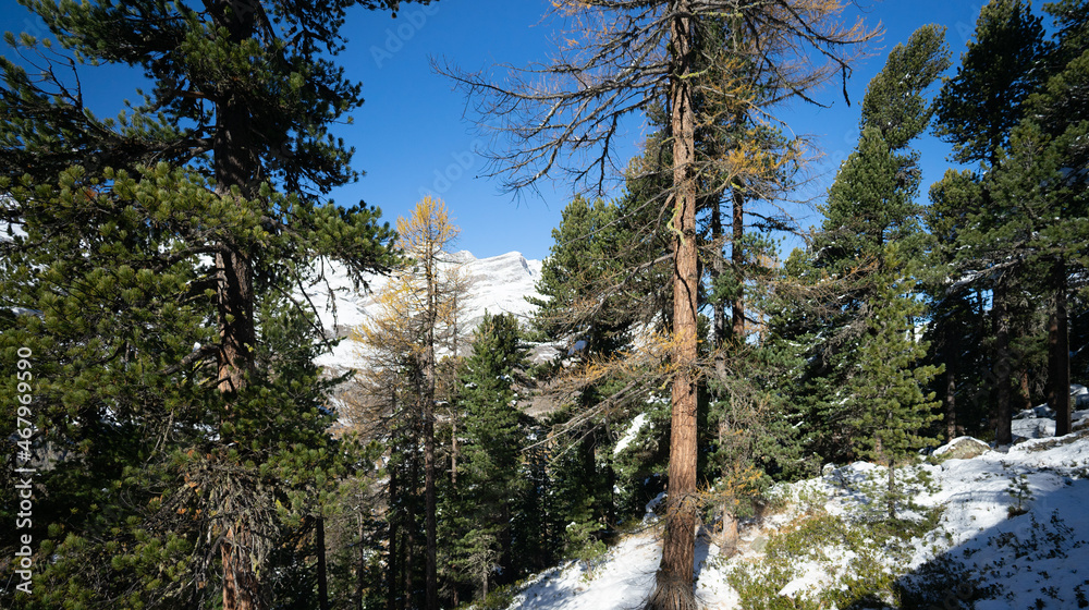 Matterhorn, Zermatt, Skiing, Winter Hiking, magical Landscampe of ...