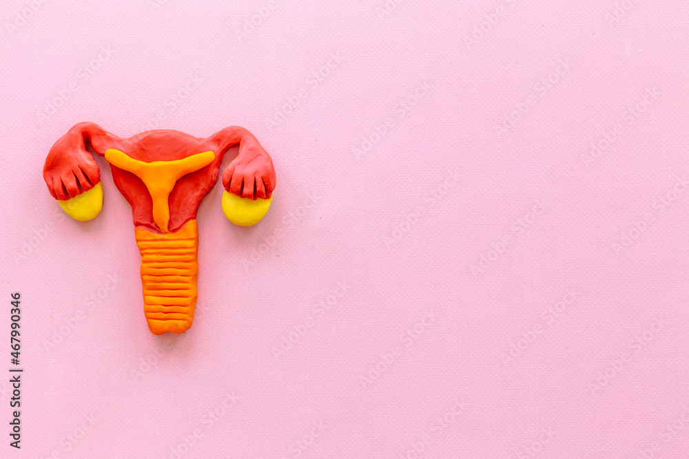 Female uterus and ovaries with fallopian tubes - - health reproductive ...