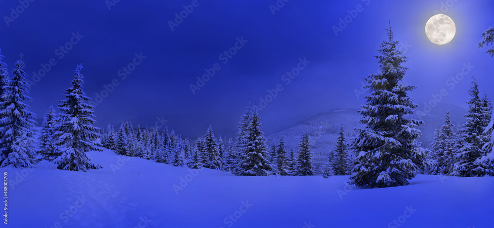 Full Moon rising above the winter fir forest covered of snow in ...
