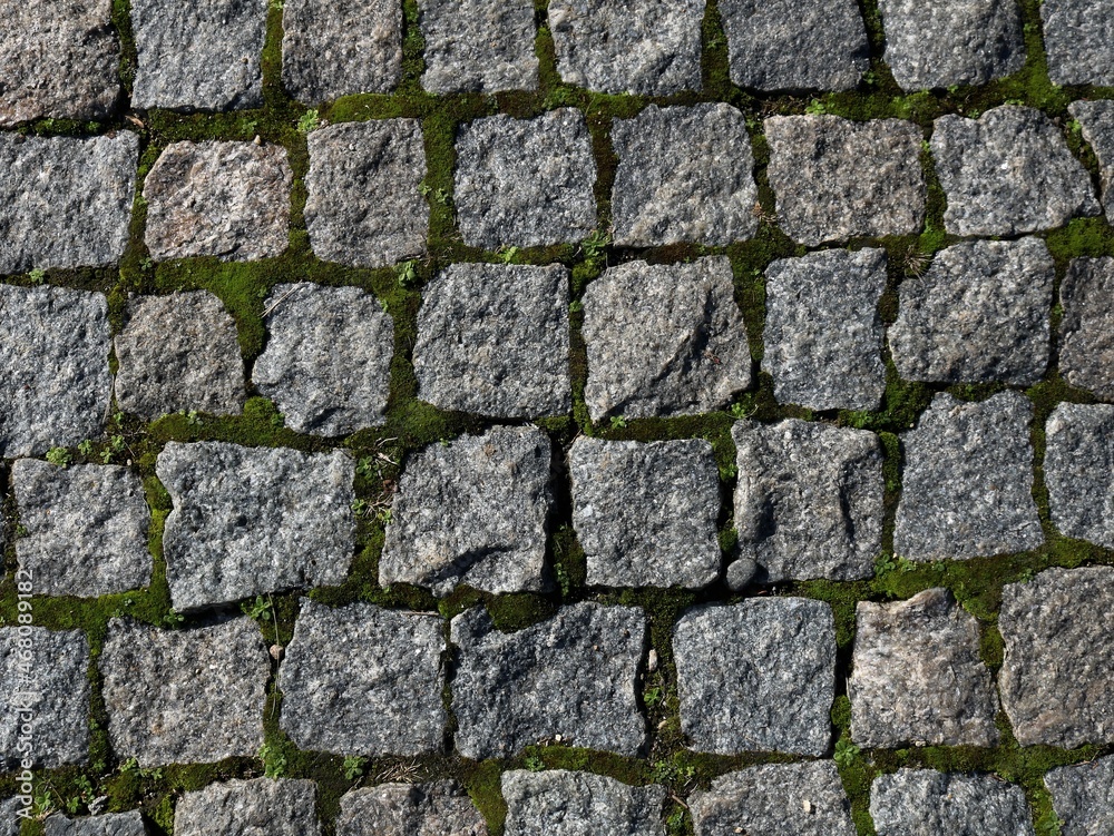 moss overgrown stone tiles in the structure of a park path as a texture ...