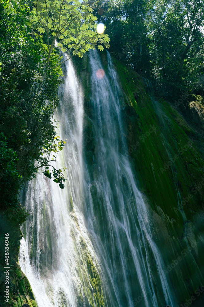 descending stream pure water in jungle forest. The photo of the ...
