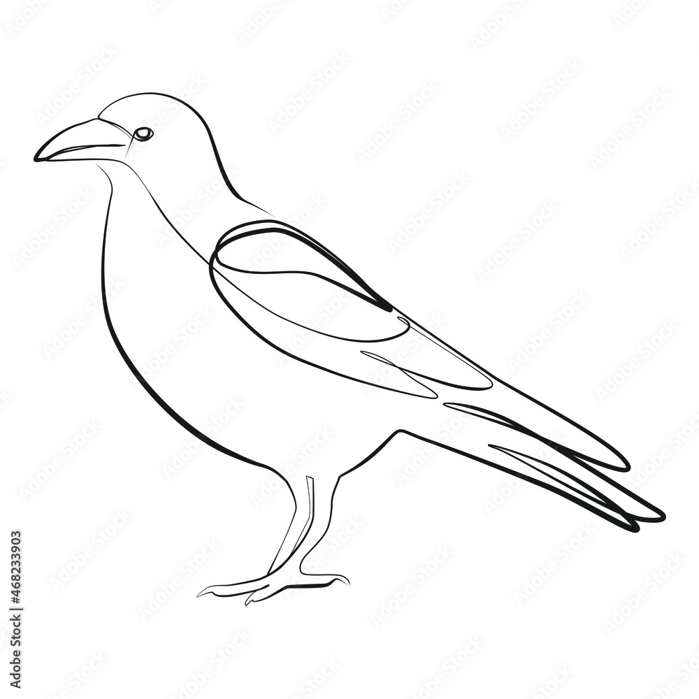 Crow close up, side view one line drawing on white isolated background ...
