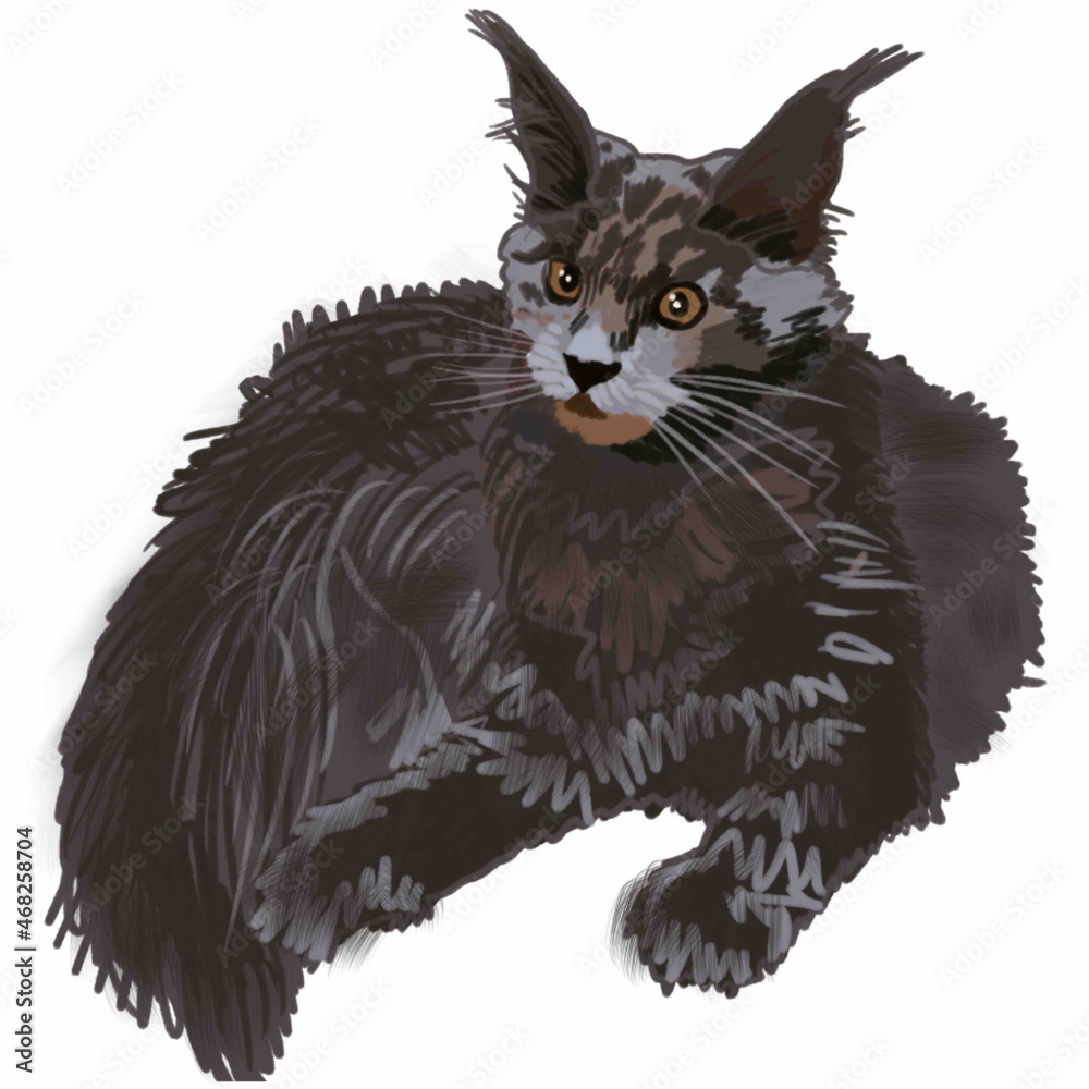 cat,breed of feline meikun,inscription cat,lettering cat, cat on an ...