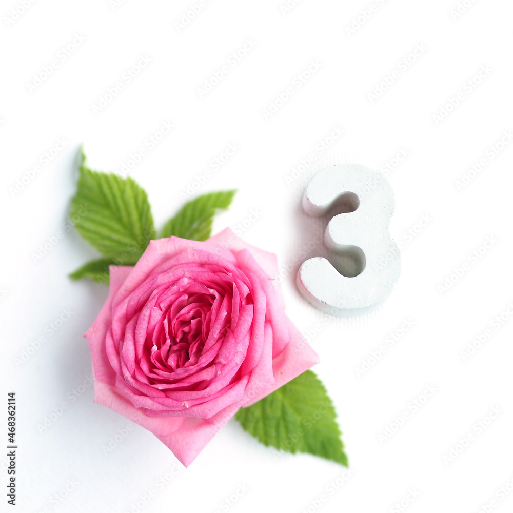 concrete number 3 and a beautiful rose with petals on a white ...