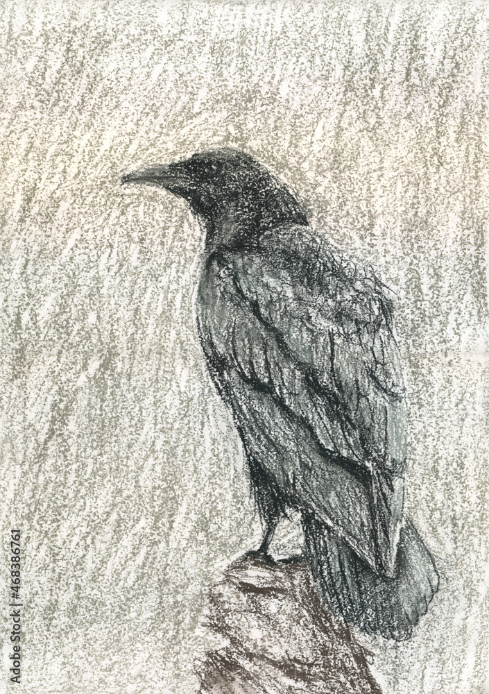 Charcoal pencil drawing realistic raven Stock Illustration | Adobe Stock