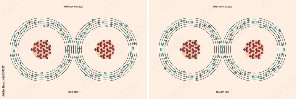 Conceptual vector representation of a strontium molecule, made up of ...