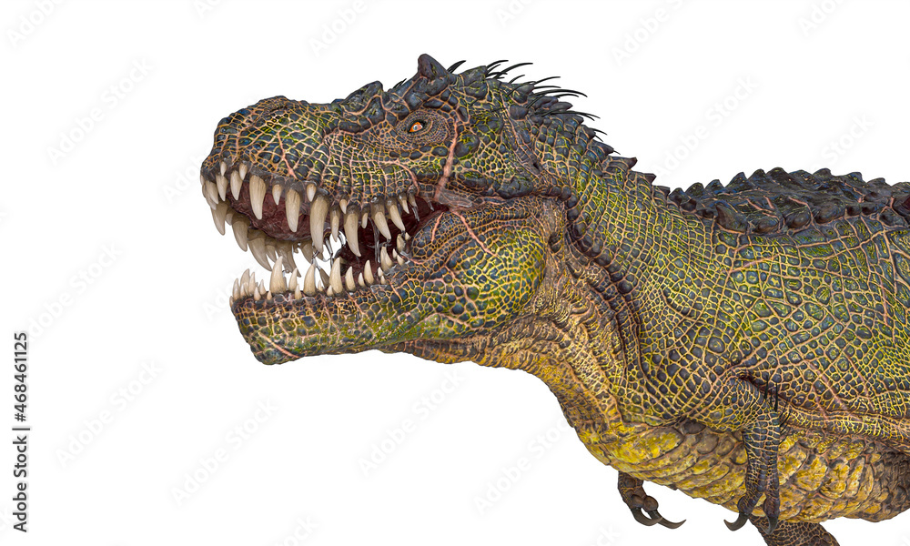 dinosaur monster side close up view Stock Illustration | Adobe Stock