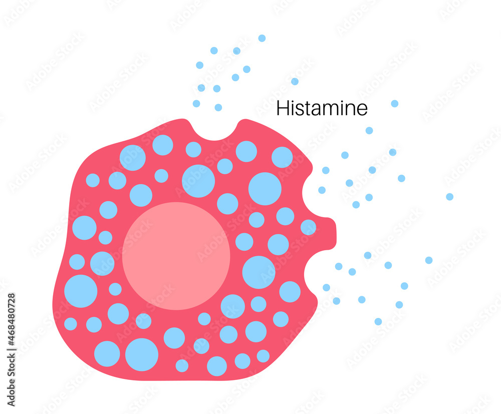 Mast cell poster Stock Vector | Adobe Stock