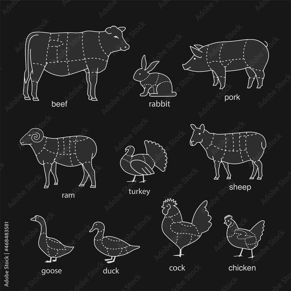 Butcher diagram of cutting meat. Set of vector signs. Ready for use in ...