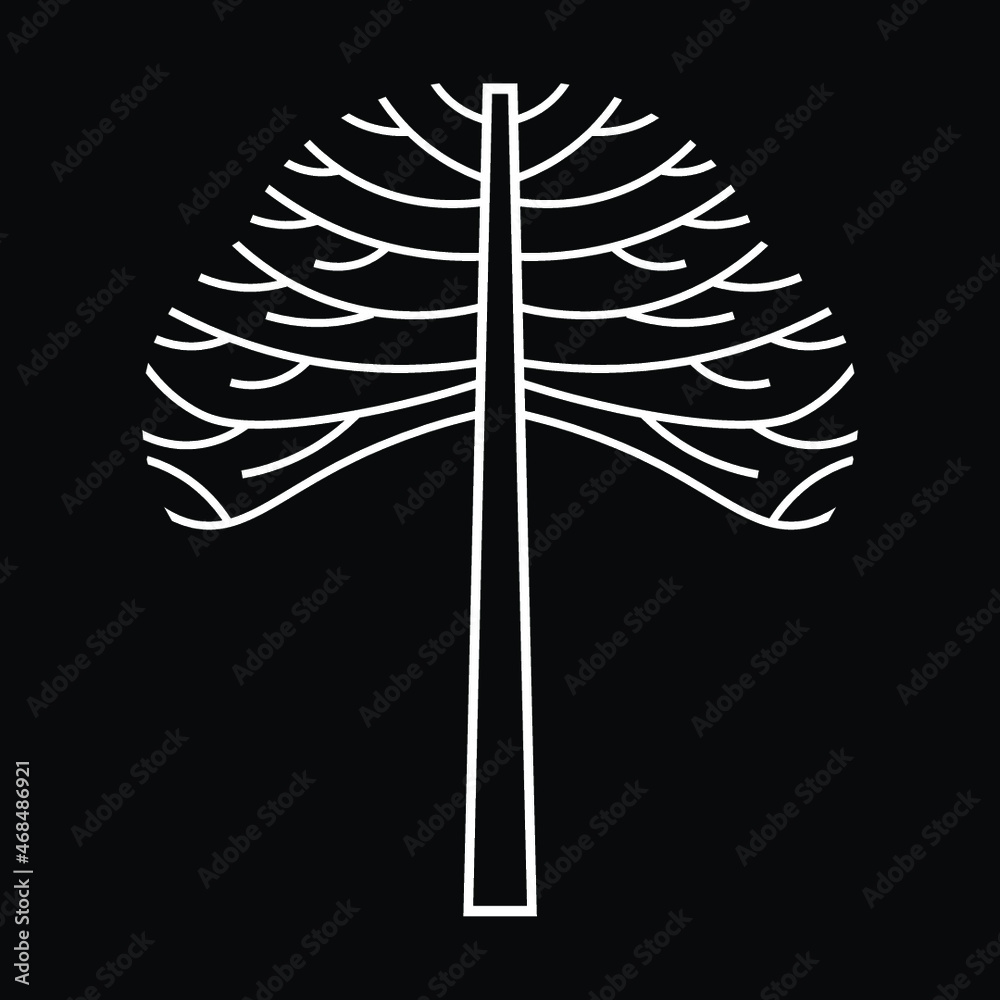 Árboles Nativos Chile - Araucaria Stock Vector | Adobe Stock