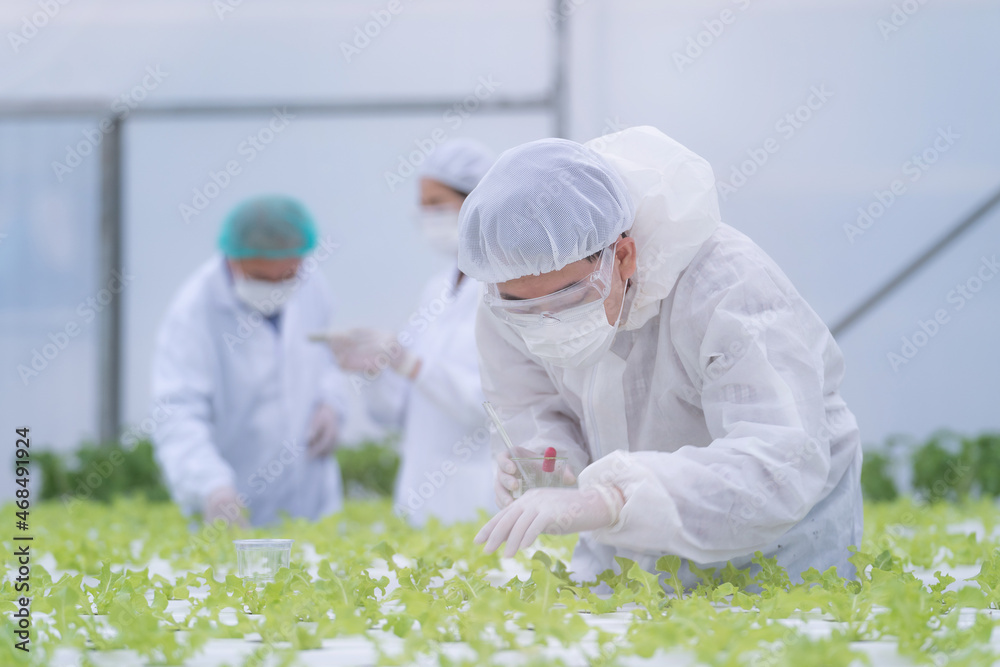 Scientist checking and testing water chemical for feeding a plant ...