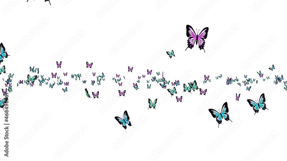 Many colorful butterflies flying in air on white background. Nature ...