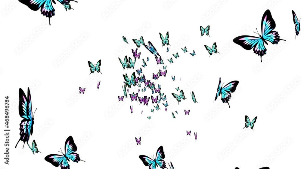 Many colorful butterflies flying in air on white background. Nature ...