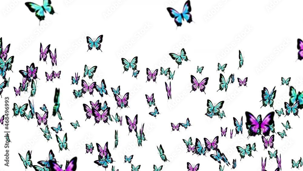 Many colorful butterflies flying in air on white background. Nature ...