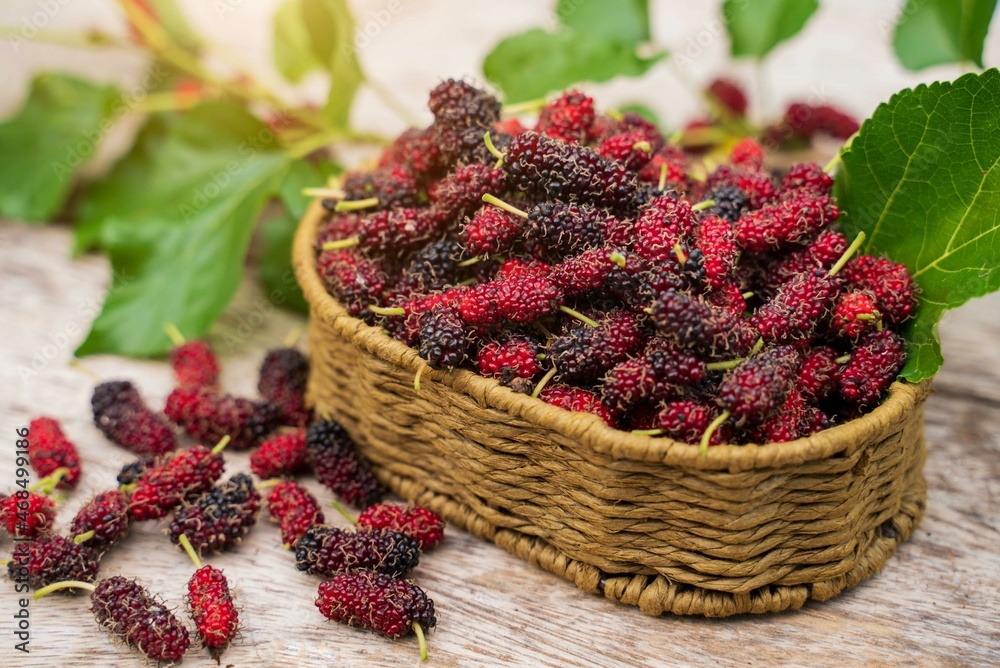 mulberry, sweet, fresh, healthy, background, food, black, nature ...