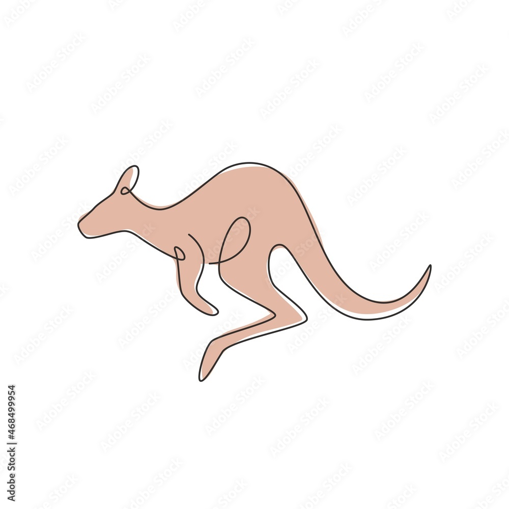 Australian Kangaroo Drawing