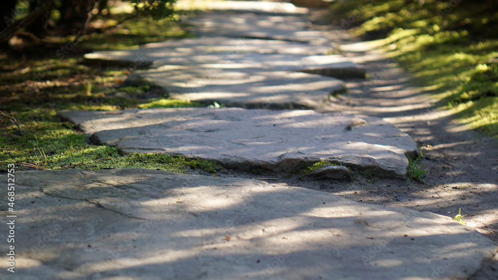 Ground level view of a stepping stone path in a garden. Can be used as ...