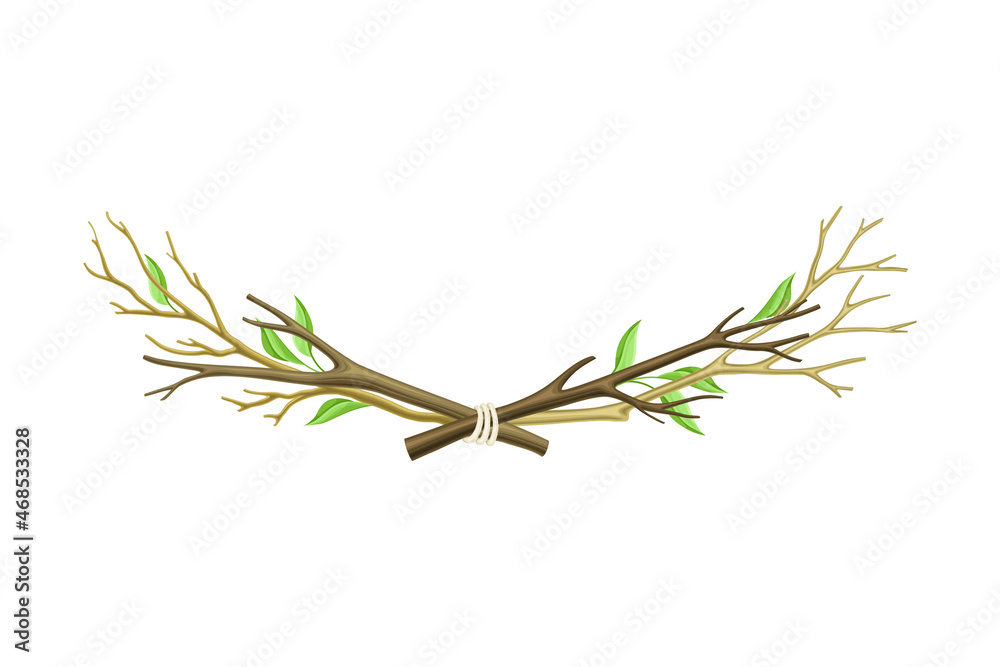 Bare Tree Branch Tied in Semi Circle Vector Illustration Stock Vector ...