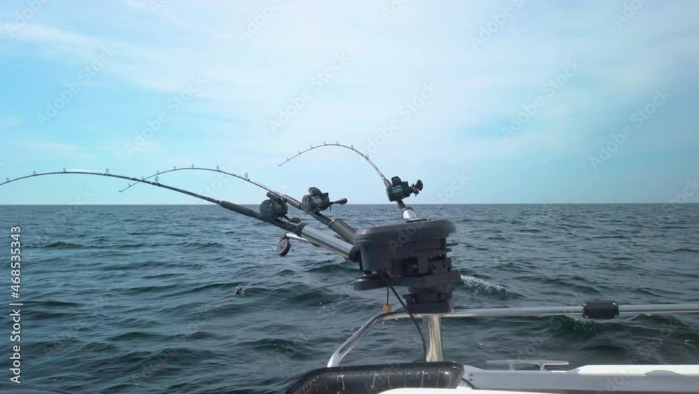 Three fishing rods hooked up with spinners, rigged for fishing, with ...