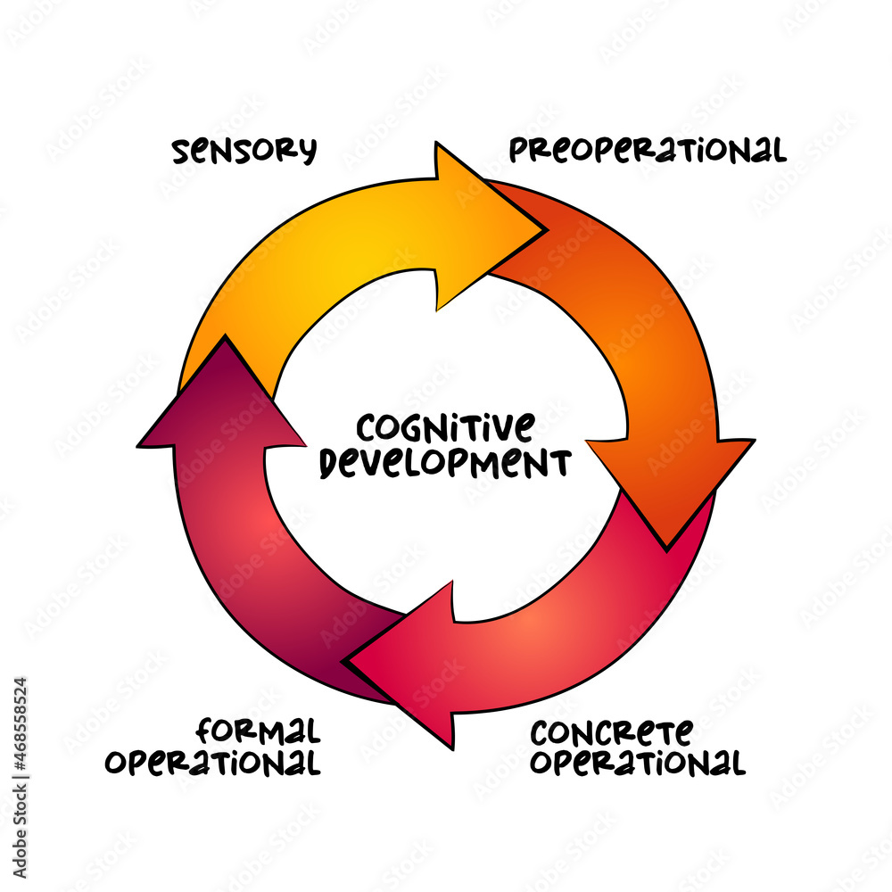Cognitive Development mind map process, concept for presentations and ...