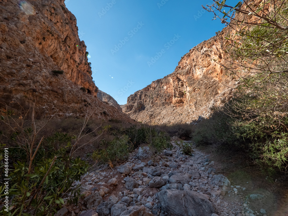 Wadi, Dry Gorge with some plants and trees Stock Photo | Adobe Stock