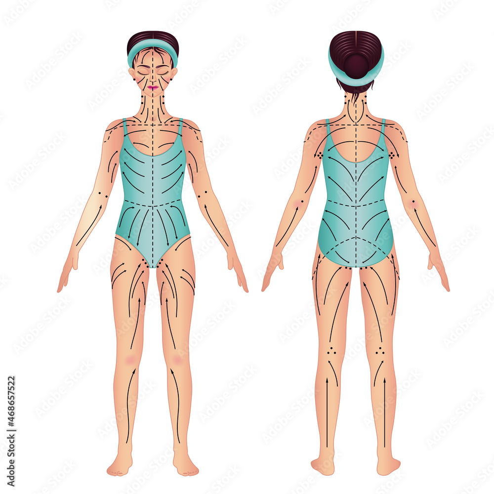 Body Massage Lines. Lymphatic drainage massage. Vector Illustration ...