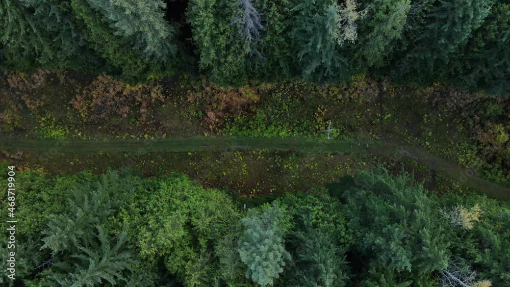 Furrow through thick boreal forest with power lines from above. Top ...