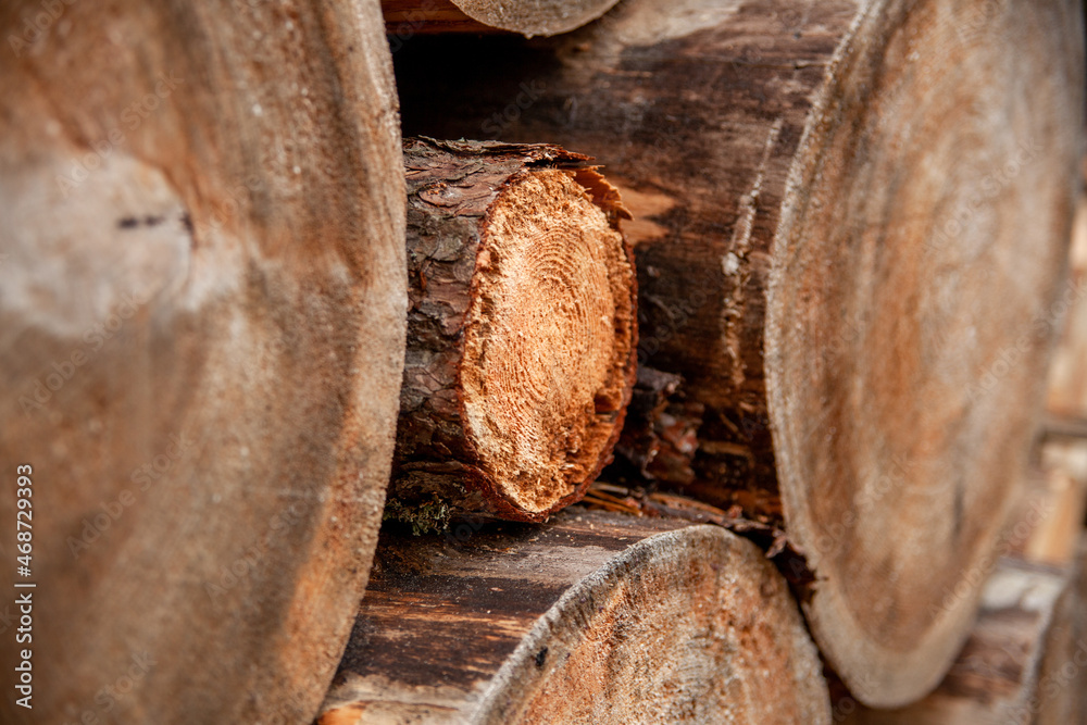 logs side view. felled trees. the logs are stacked on top of each other ...