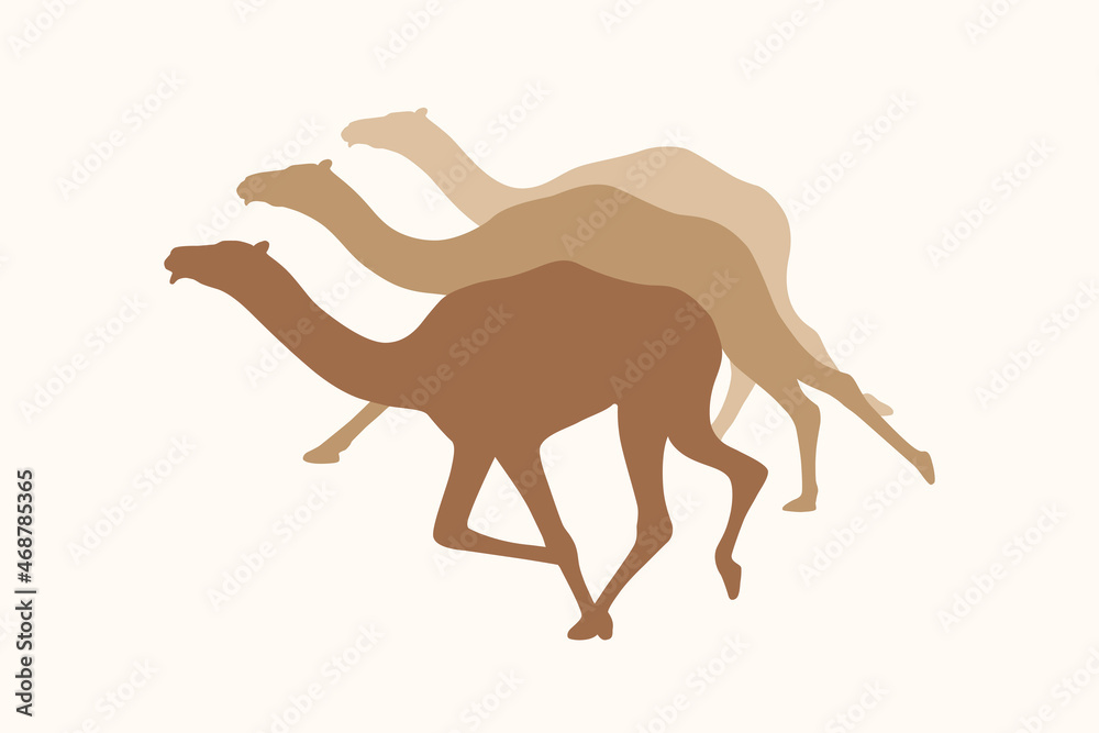 Camel race poster design template. Running camels graphic sign isolated ...