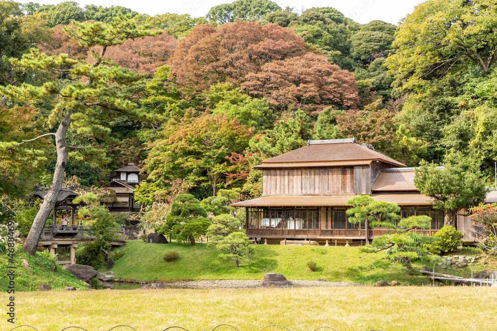 japanese traditional houses beside the pond surrounded by forest in ...