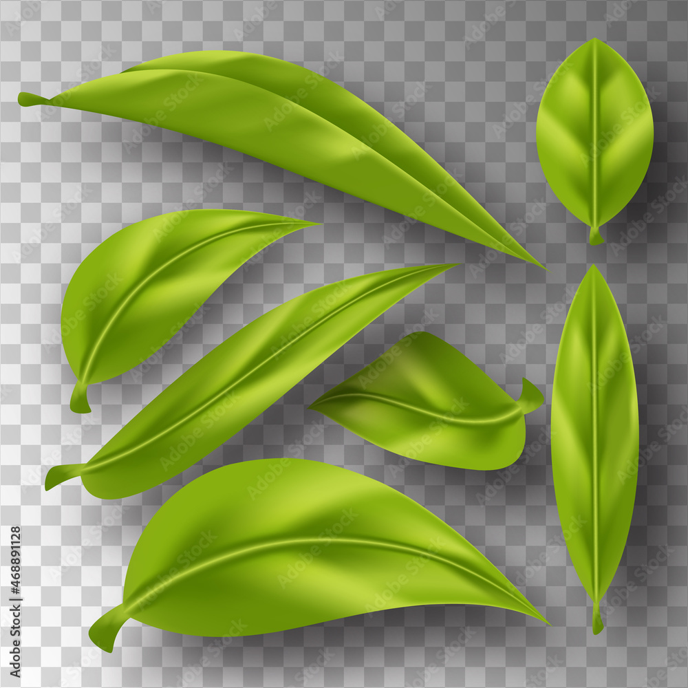Beautiful flying green tea leaf realistic 3d background Stock Vector ...