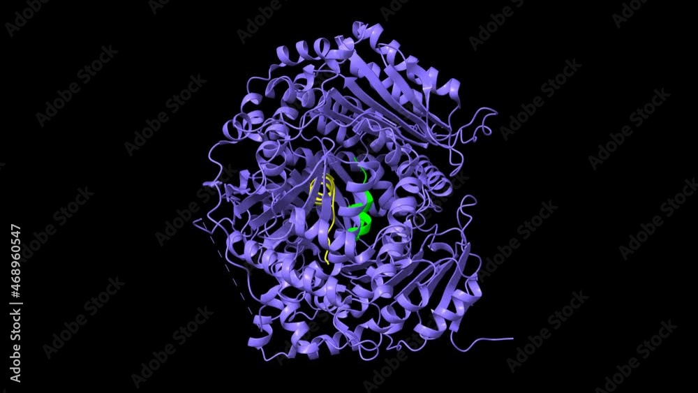 Structure of human insulin-degrading enzyme (blue) in complex with ...